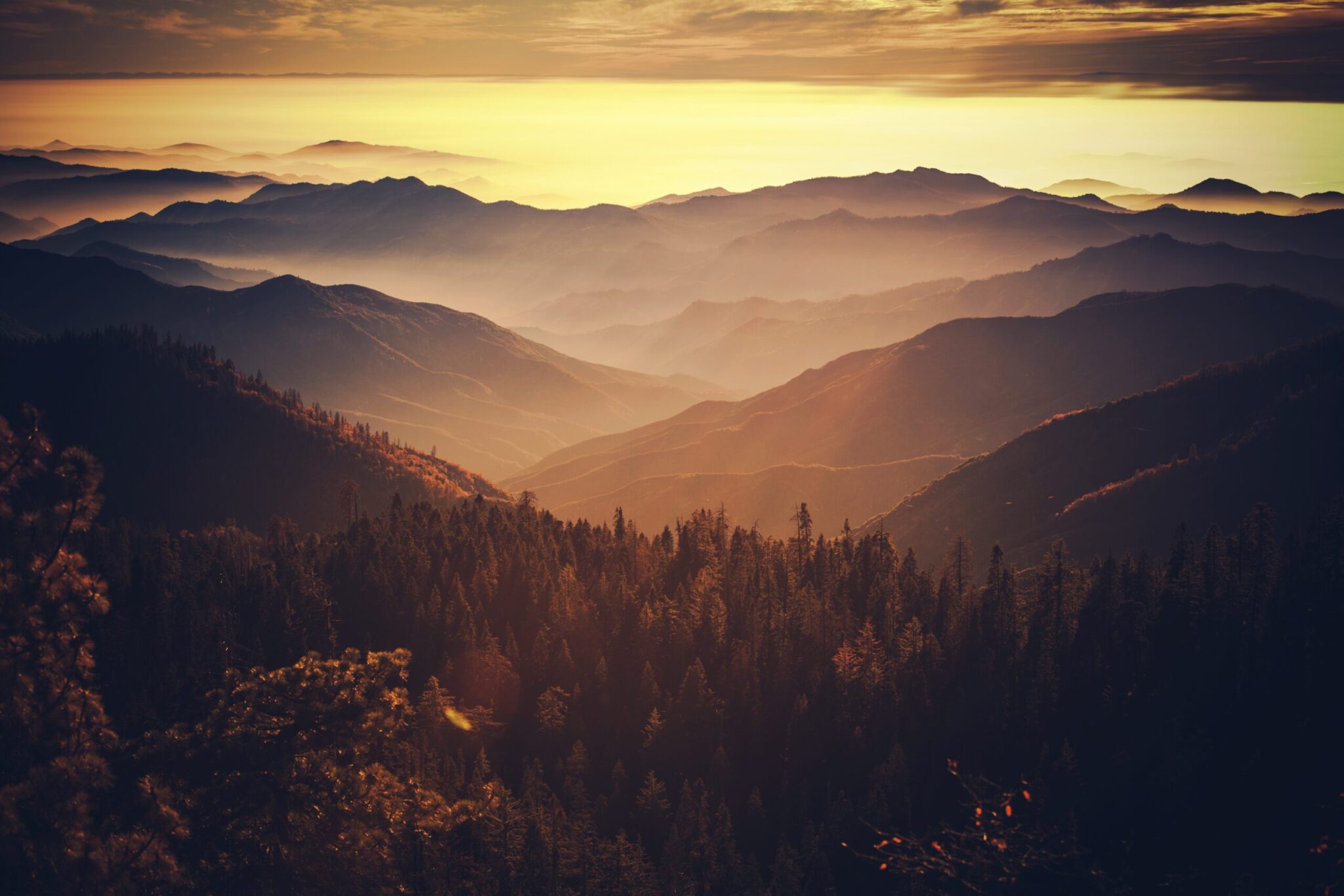 Maple Networks | Cybersecurity, Cloud & Data Experts